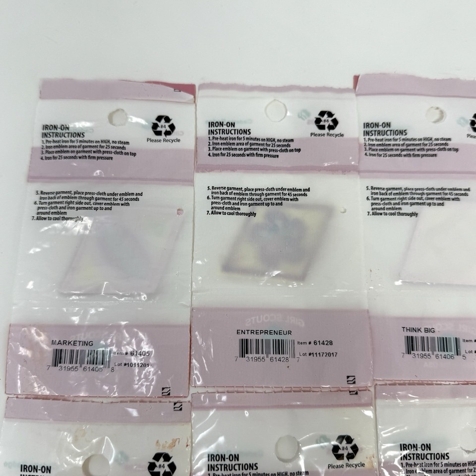 Lot of 10 Girl Scouts Iron-On Cadette Badges | eBay