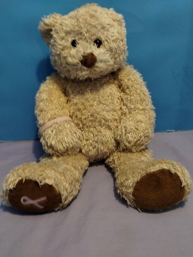 Breast Cancer Plush Tan Bear w/Bracelet GUND For May Dept Stores 2005 ...