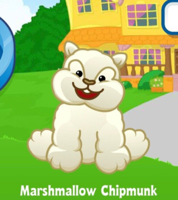 Webkinz Marshmallow Chipmunk VIRTUAL Pet Adoption (CODE ONLY) Messaged ...