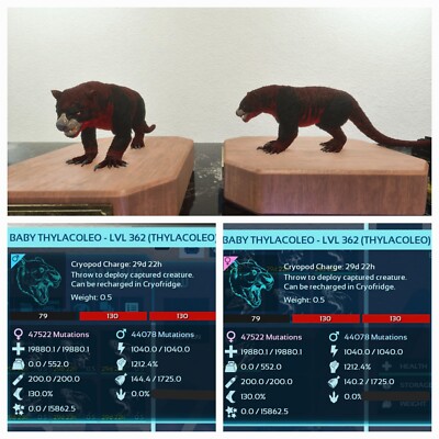 ARK ASCENDED PVE OFFICIAL PAIR BABY THYLA S. DEADPOOL TOP STATUS PS5/PC ...