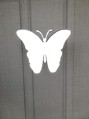 Insanely Bright Whitee Screen