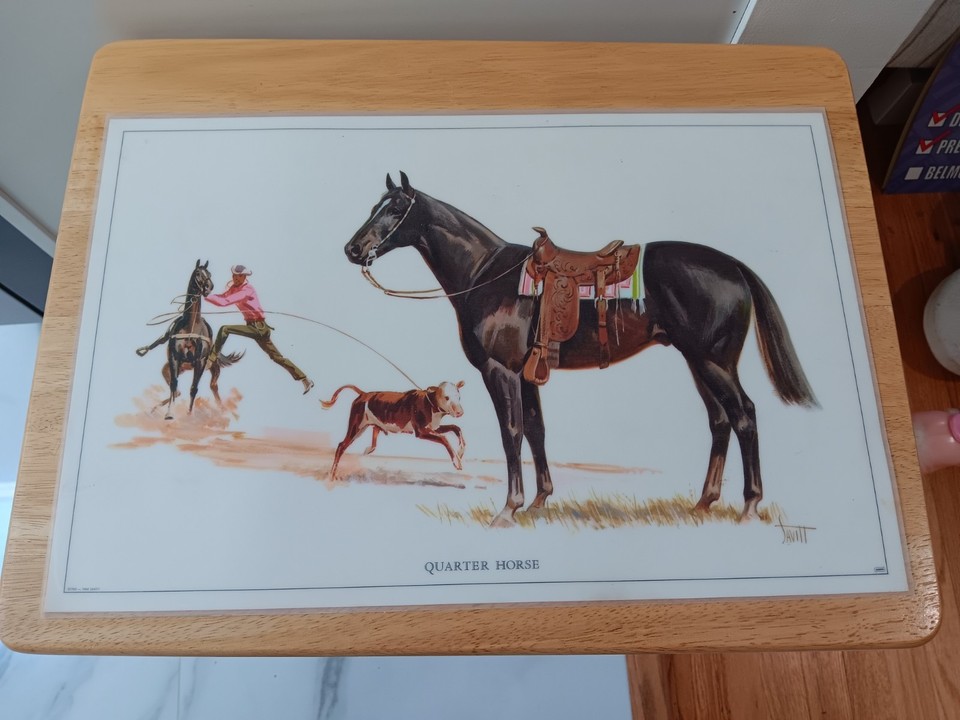 VINTAGE 1965 SAM SAVITT VARIETY HORSE BREEDS HEDWIG PLACEMATS SET OF 6 ...