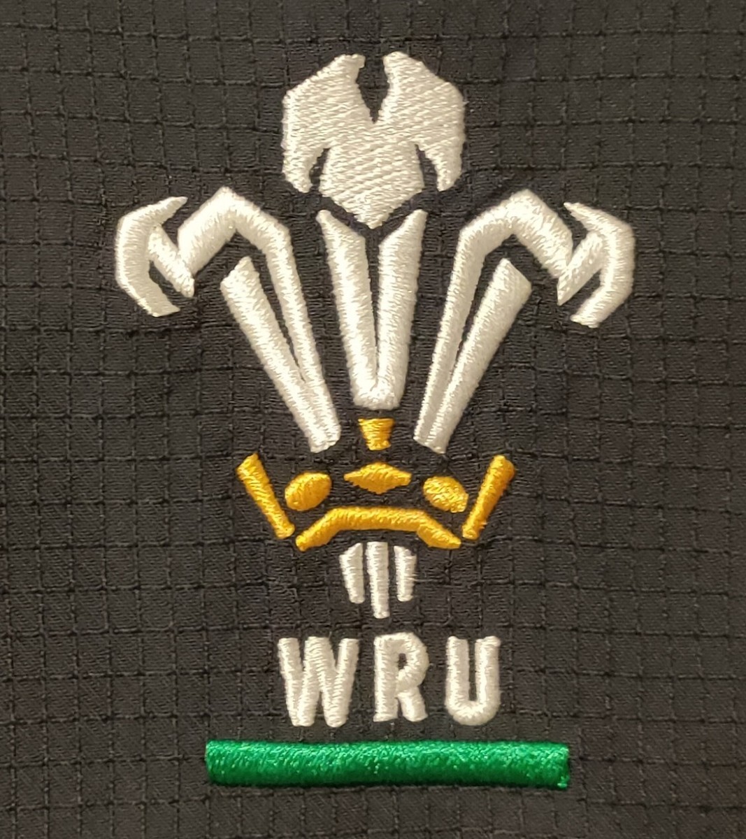 Welsh Rugby Logo Wales Rugby Home Replica Jersey 23/24 | Rebel Sport