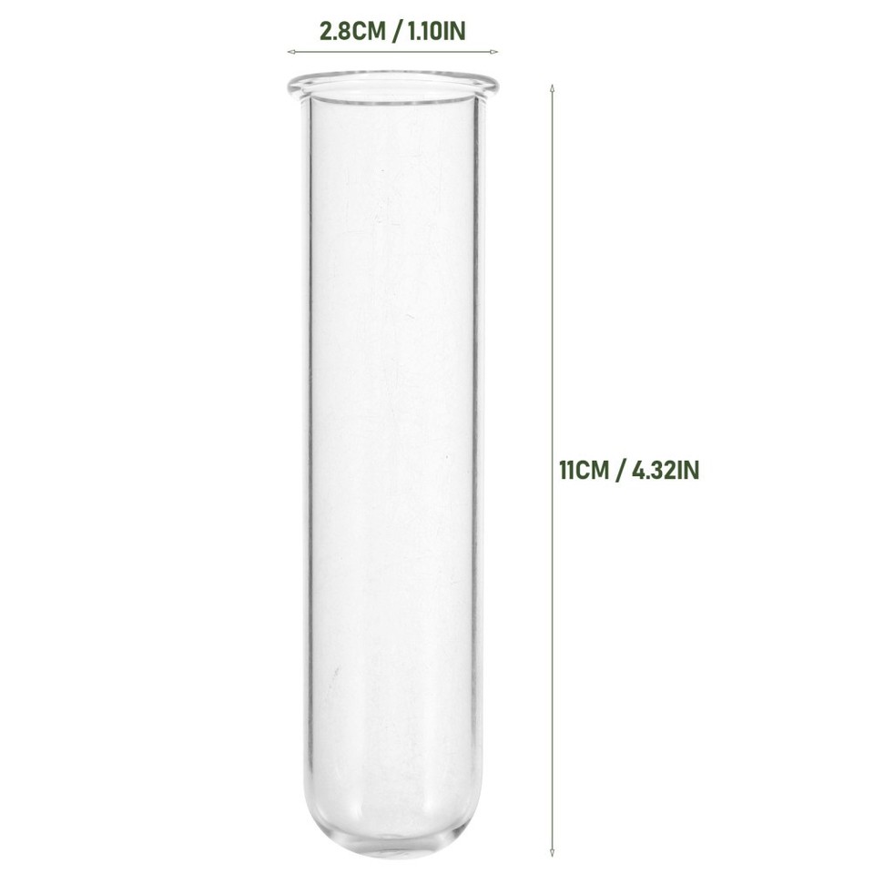 5 Pcs Glass Container Indoor Planter Test Tube Vases Clear Tubes | eBay ...