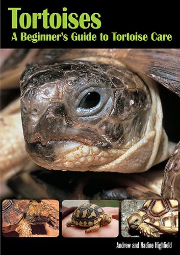 TORTOISES By Andrew Highfield & Nadine Highfield *Excellent Condition ...