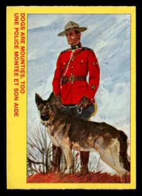 1972 OPC Royal Canadian Mounted Police #21 Dogs Are Mounties Too NM | eBay