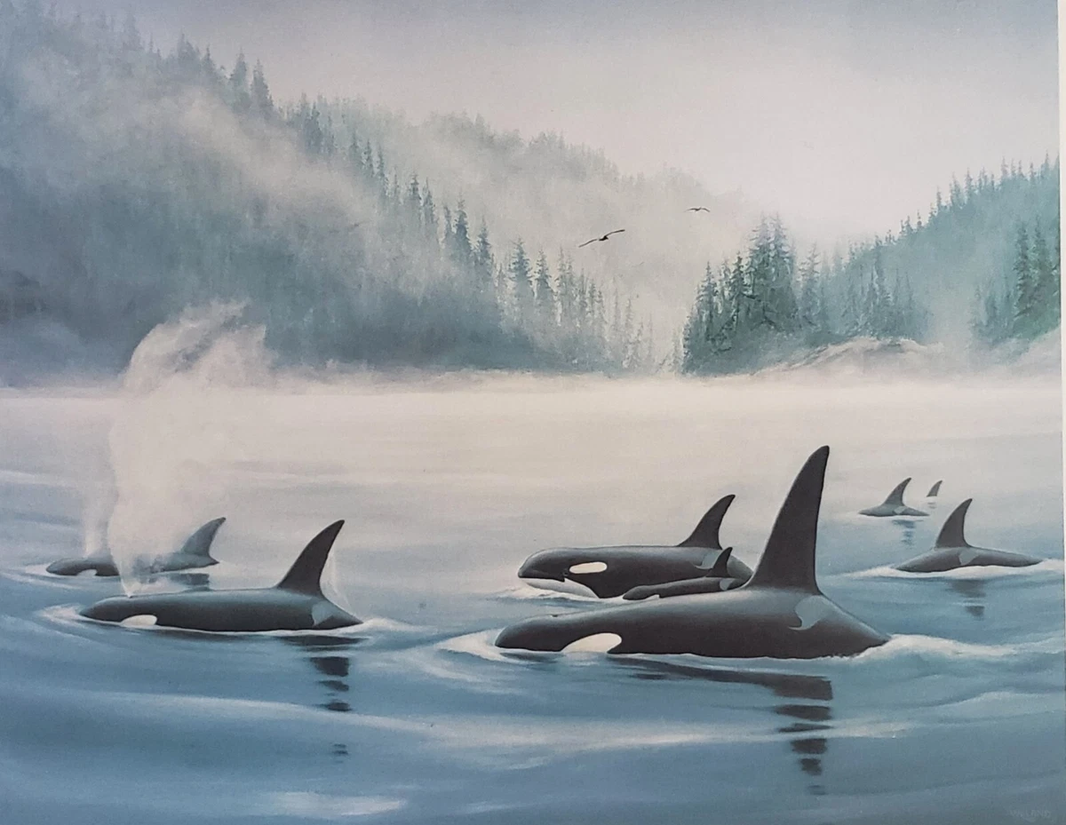 Orcas Pod