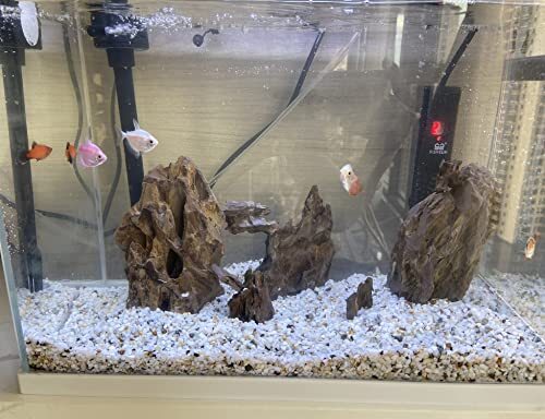 AWXZOM Natural Dragon Rock Carefully Selected Mixed Sizes, Decorative 4 ...