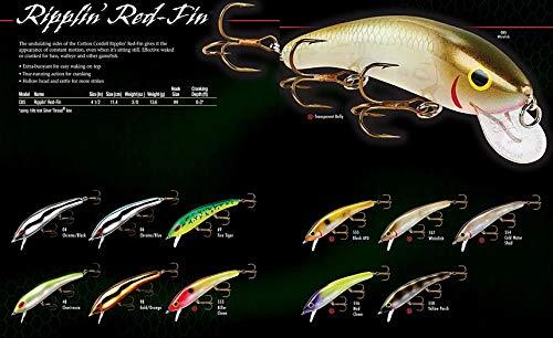 Ripplin' Red-Fin Crankbait Fishing Lure, 4 1/2 Inch, 3/8 Ounce, Killer ...