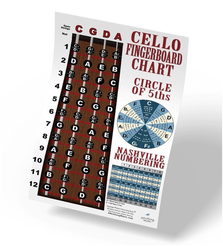 Cello Fingerboard Notes Instructional Poster Beginner Wall Chart Theory ...