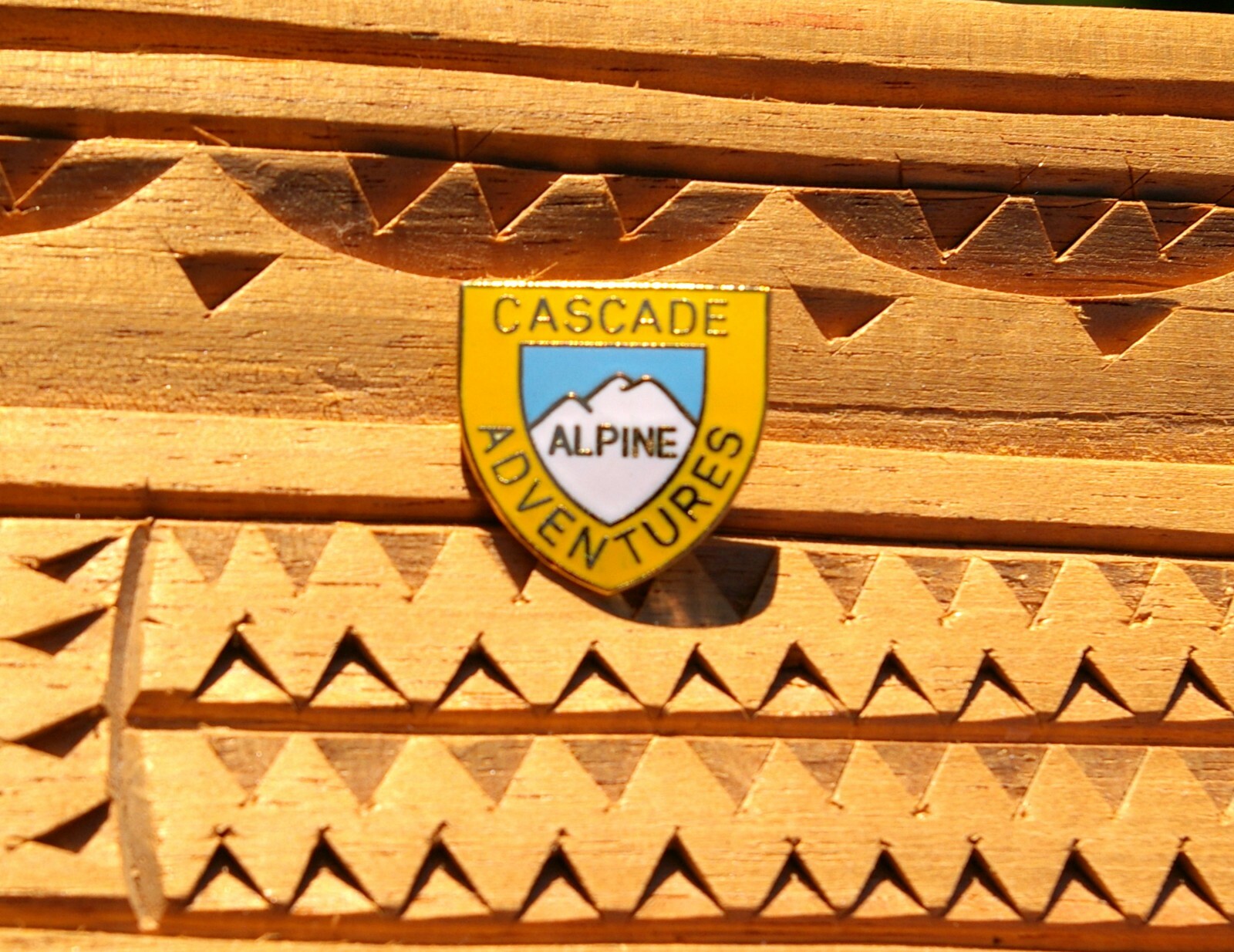 Cascade Alpine Adventures of Washington Enamel Pin Pinback Mountain Ski ...