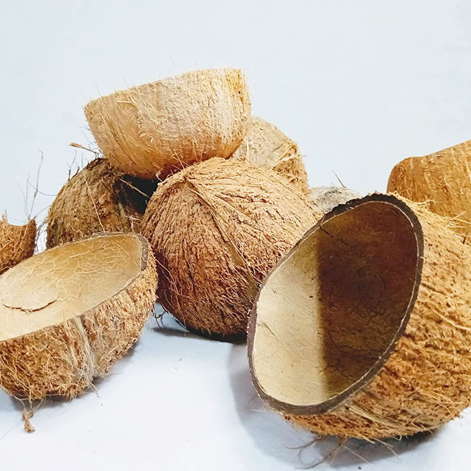 100% Pure Organic Natural Eco Friendly Ceylon Coconut Shell Halves Half ...