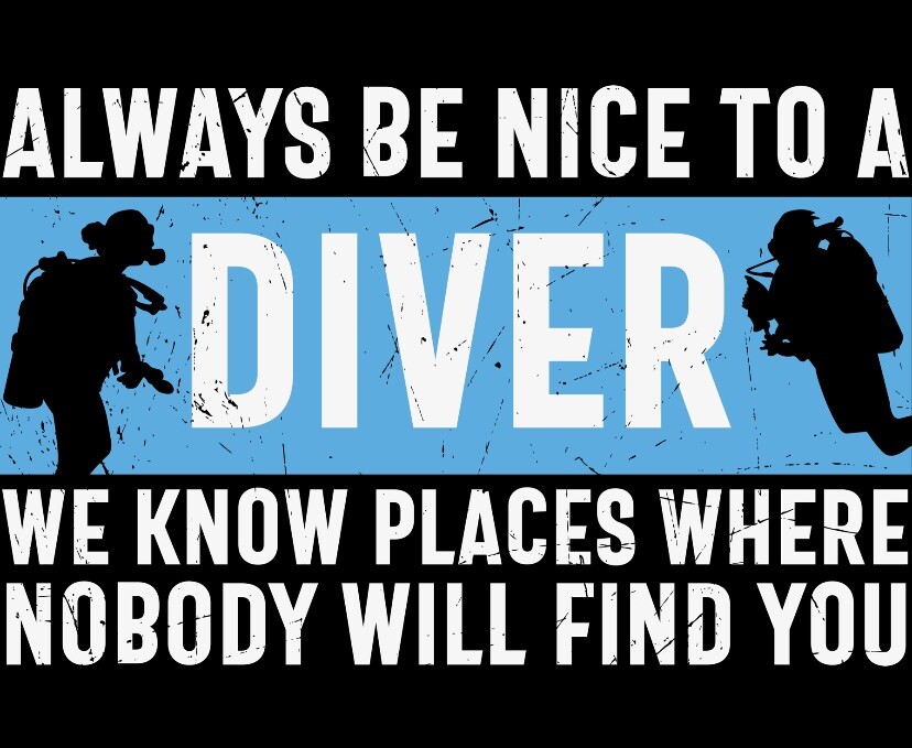 4” Funny Scuba Diver Sticker Quote Be Nice Joke Witty Ocean Swim Diving ...