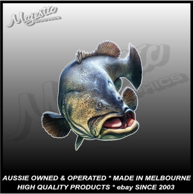 MURRAY COD - 150mm x 138mm - Boat Decal / Sticker / Tackle box / Esky ...