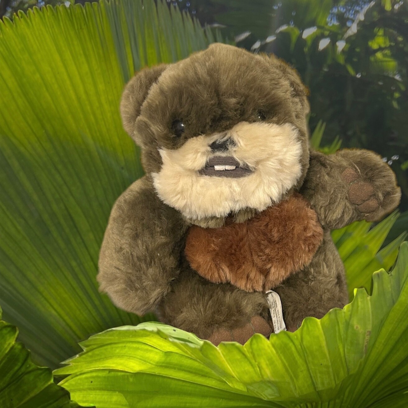 Disney Star Wars Ewok Wicket Plush 9" 2004 teeth No Cape Cute stuffed ...