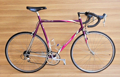Vintage Bicycles - Moser Leader - Nelo's Cycles
