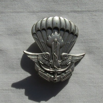 Italian Airborne Pioneer Engineer Company Badge Clutch back | eBay