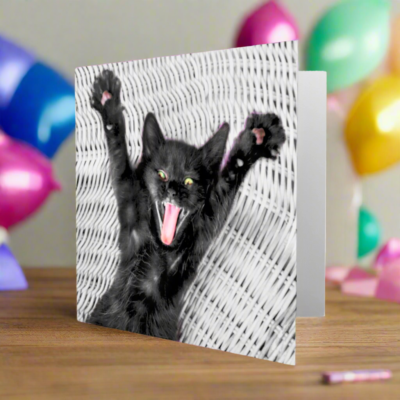Funny Cat Celebrating