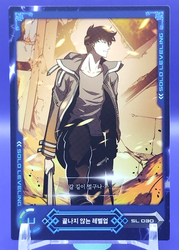 Sung Jin-woo Solo Leveling Korean D&C Media Licensed Card From Japan SL ...