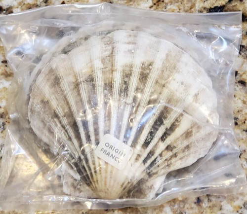 VTG FRANCE Large 5” Viking Clam Scallop Seafood Baking Cooking Shells ...