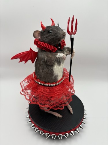 Lil Devil Rat Taxidermy Red Wings Horns Oddities Curiosities Halloween ...