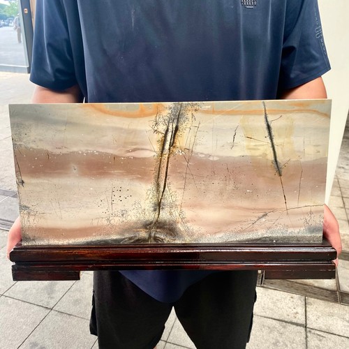 19.3LB Natural jasper Chinese Dendritic Limestone Picture Stone Guohua ...