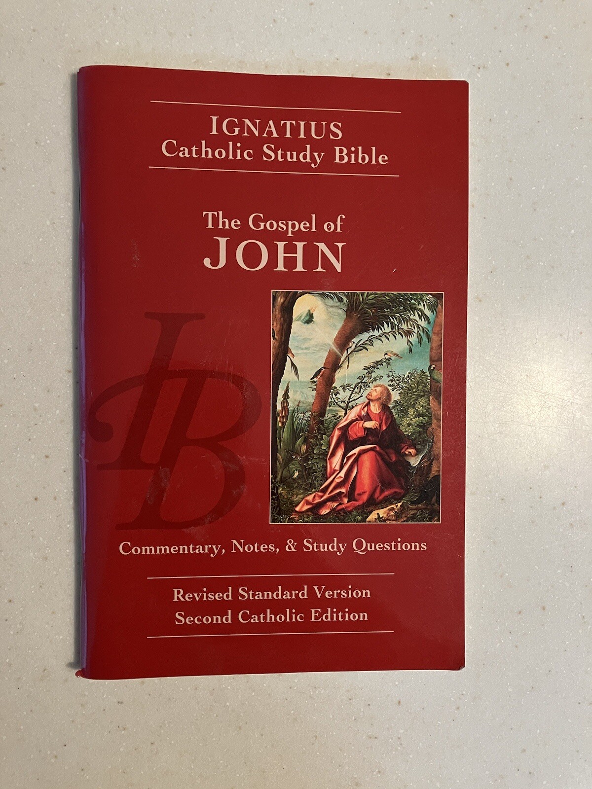 Ignatius Catholic Study Bible Ser.: The Gospel of John : Ignatius Study ...
