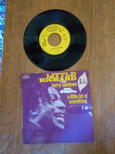 DISQUE VINYLE 45 TOURS SINGLE - LITTLE RICHARD - A LITTLE BIT OF ...
