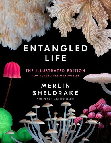 Entangled Life: The Illustrated Edition: How Fungi Make Our Worlds ...