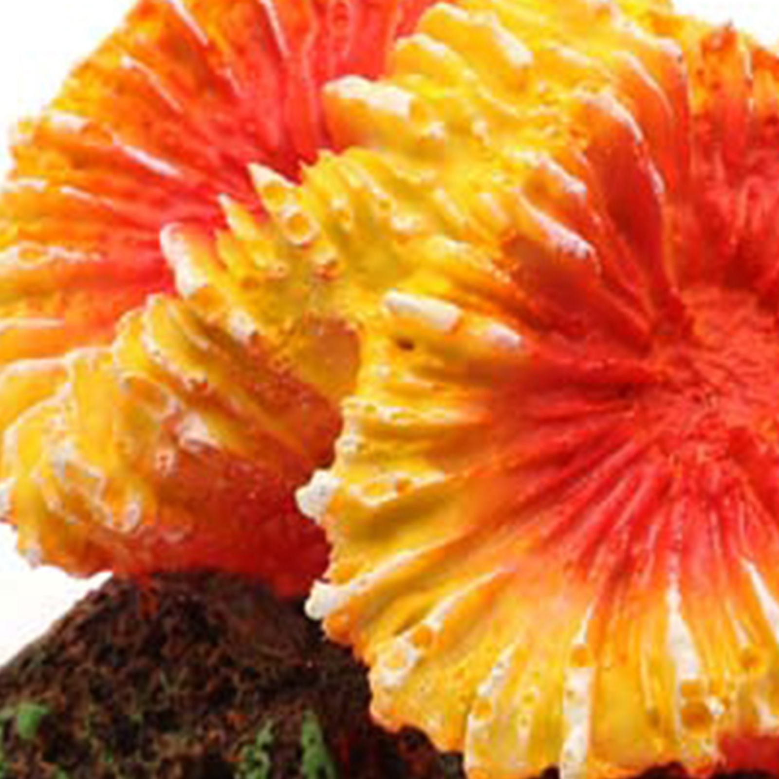 Simulation Coral Harmless Aquarium Accessories Simulated Coral Water ...