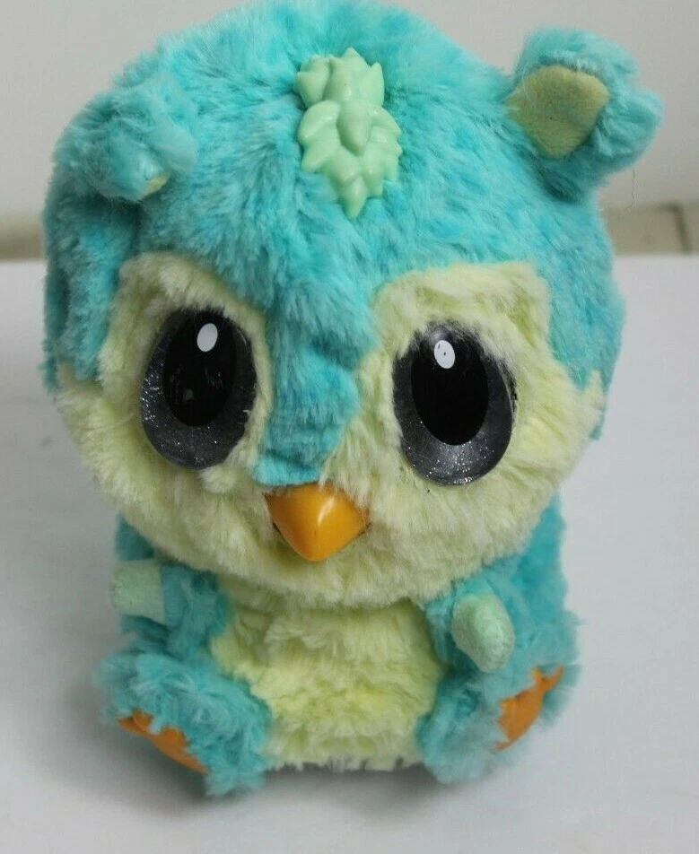 Blue Owl Hatching