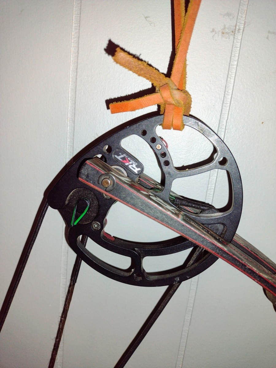 Precio De Vector De Hoyt 2023