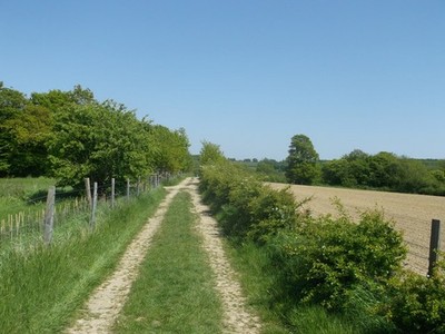 Photo A3 Track to Glottenham Manor and Robertsbridge A footpath leads ...