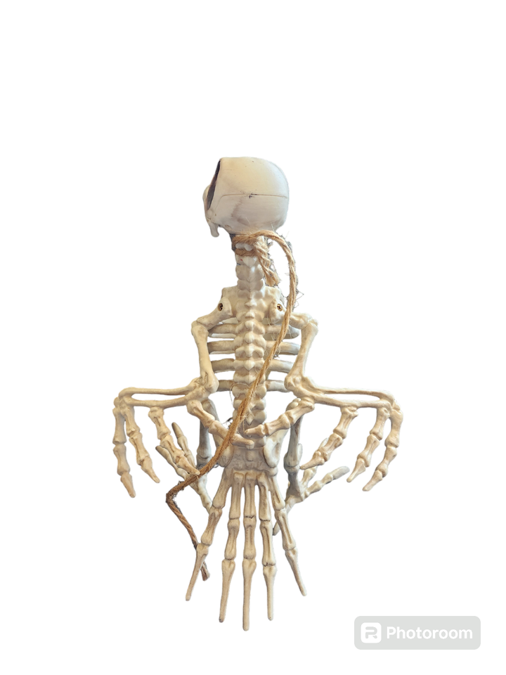 Crazy bonez off-white skeleton Crow Bird Halloween prop decor | eBay
