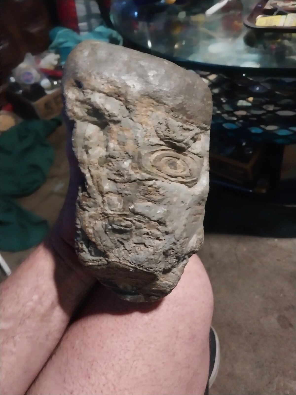 Fossilized Alien Head | eBay