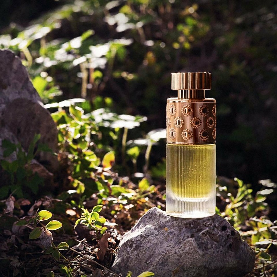 Begonia by Dar Al Teeb 75ml Spray - Free Express Shipping | eBay