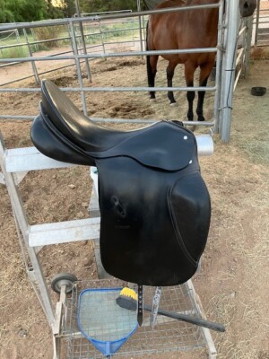 Passier Hubertus Schmidt Dressage Saddle | eBay