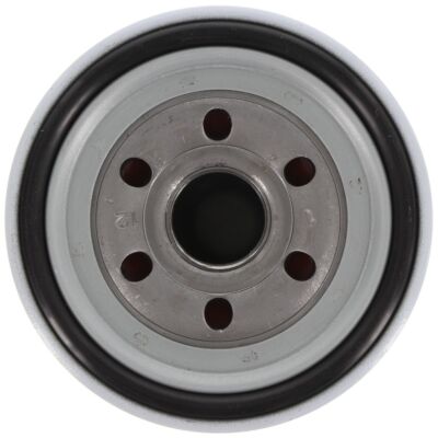 Donaldson Oil Filter P550422 | eBay Australia