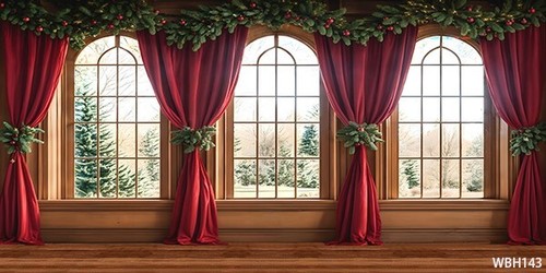 20'x10'Computer-painted Windows Curtains Lounge Wide Backdrop ...