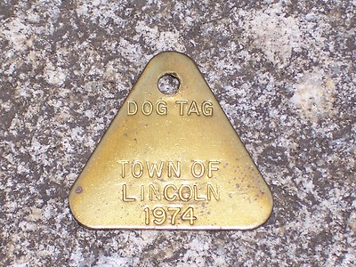 Vintage 1974 Town of Lincoln Dog Tax Tag License Brass cc14 | eBay