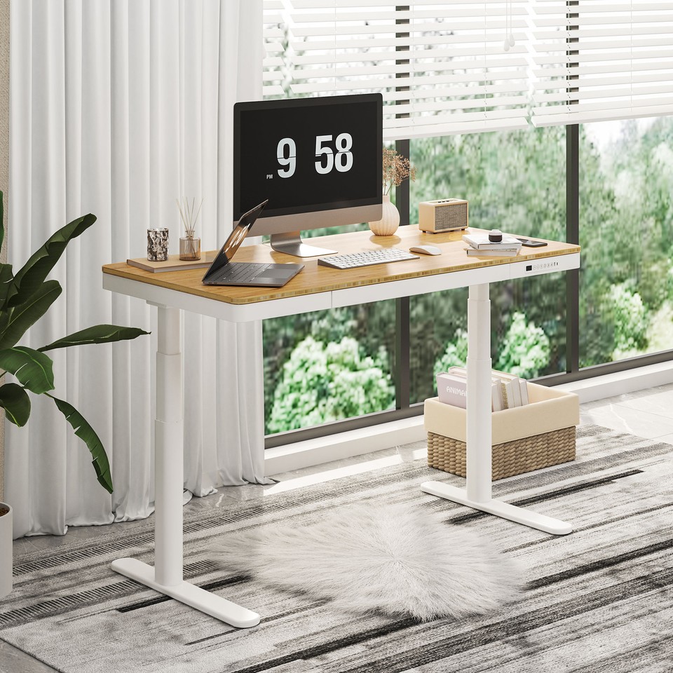 FLEXISPOT Dual Motor 55" Bamboo Desktop Electric Standing Desk Wireless ...