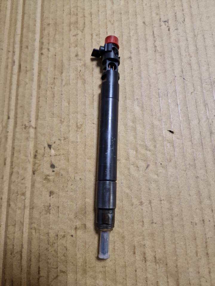 TESTED INJECTOR FORD CITROEN PEUGEOT 2.0D DELPHI EMBR00101D 9686191080 ...