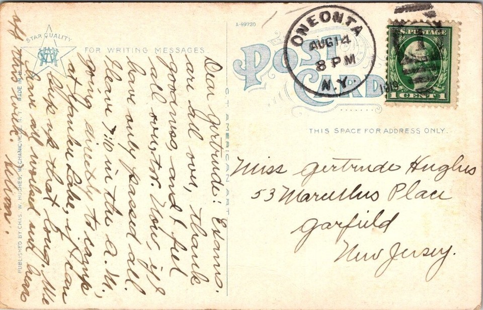 Postcard. Goodyear Lake Power Dam and Floating Island Near Oneonta, New ...