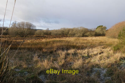 Photo 6x4 Red Moss Burnhead/NO8693 Willows and rushes, as well as Moss ...