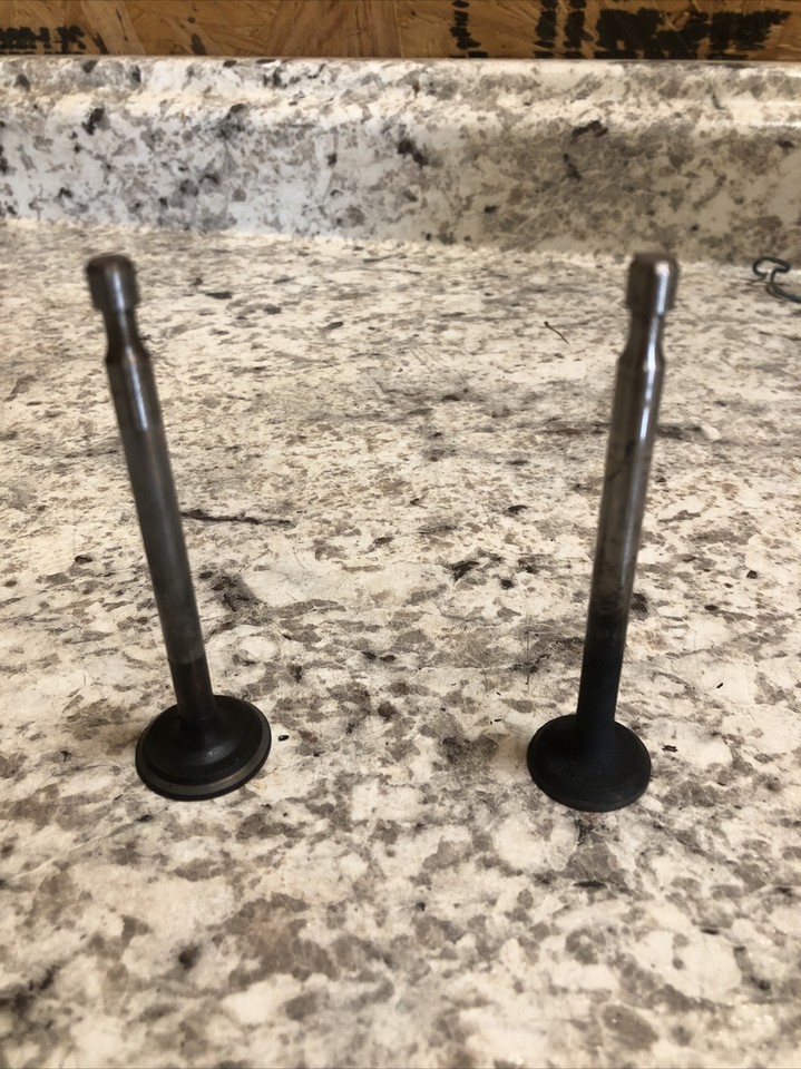 Powr-Kraft Briggs and Stratton 2.5HP 80102 OEM Valves and Springs ...