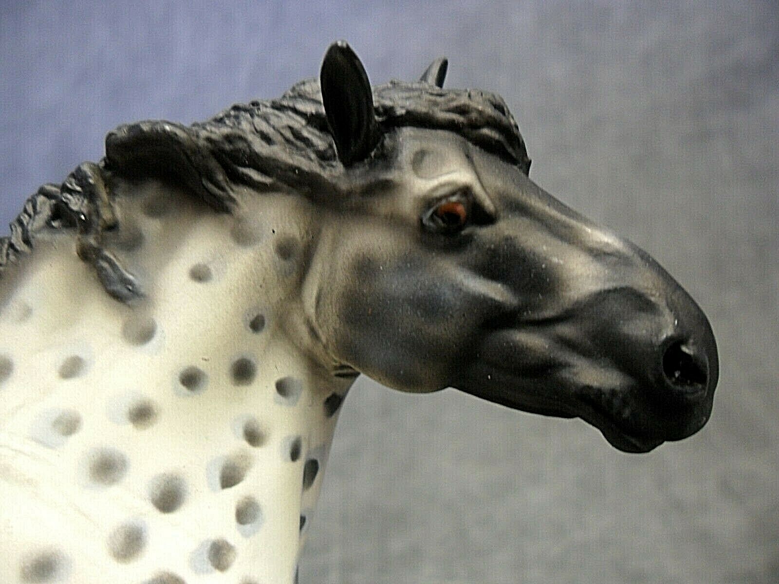 WIA NEW * Gustav - Leopard Appaloosa * Brigitte Eberl 1:18 Scale Model ...
