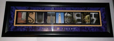 Louisiana State University LSU Tigers Campus Photo Picture Frame 22" x ...
