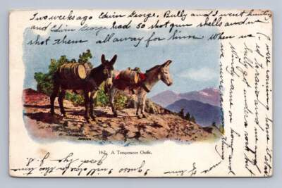 "A Temperance Outfit" Antique Gorham Colorado Rockies Mules UDB ...
