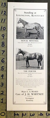 1937 EQUESTRIAN HORSE ROYAL MINSTREL PORTER STUD WHITNEY LEXINGTON AD ...