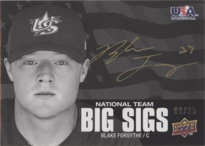 2009 Upper Deck USA Baseball Box Set - Big Sigs National Team Blake ...